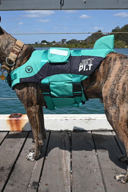 Jetpilot Venture Dog Pfd Life Jacket - Teal